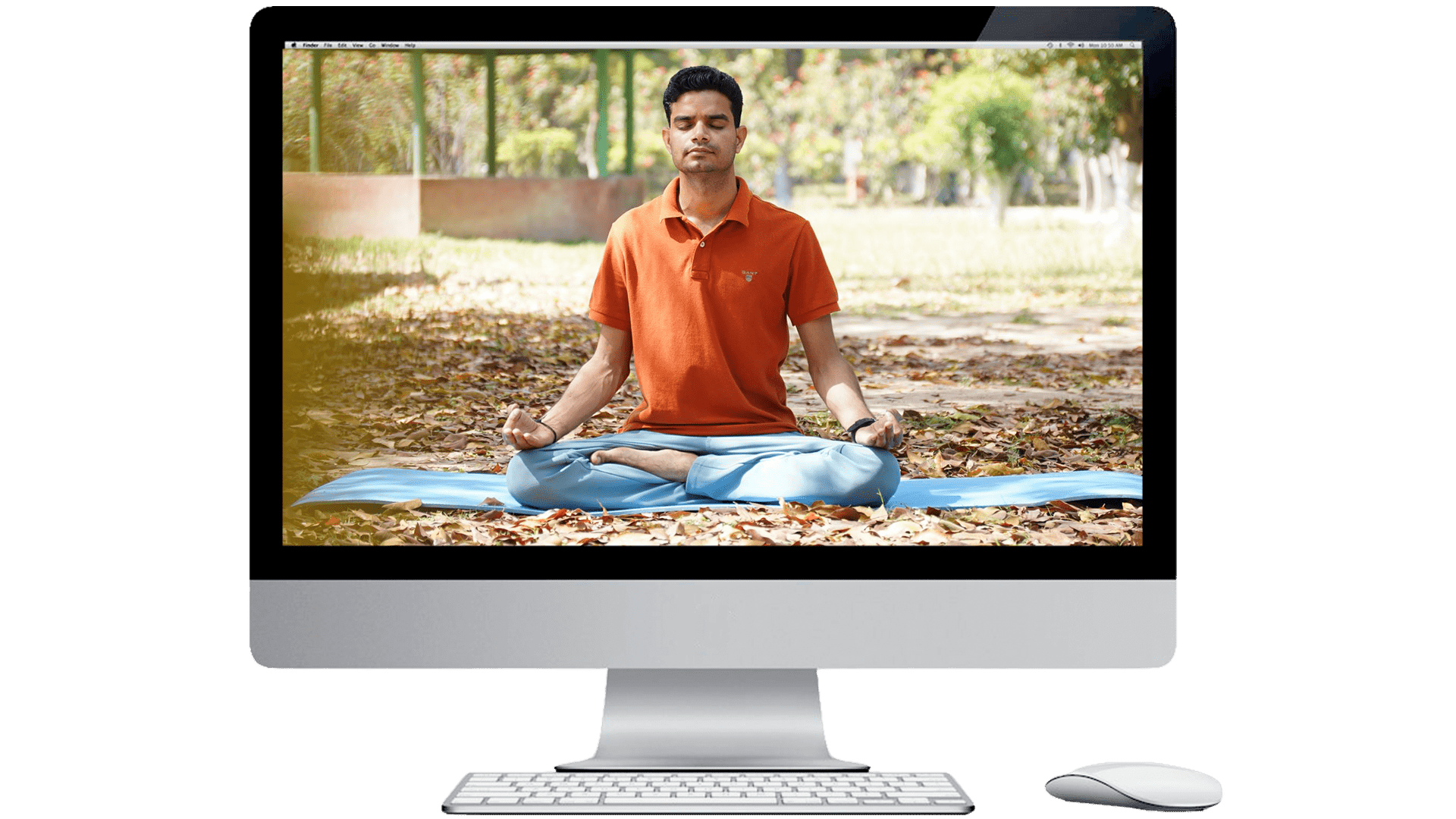 Home [joinshaktimovement.com]